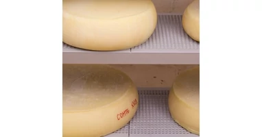 Alpine style (Comte) cheese recipe
